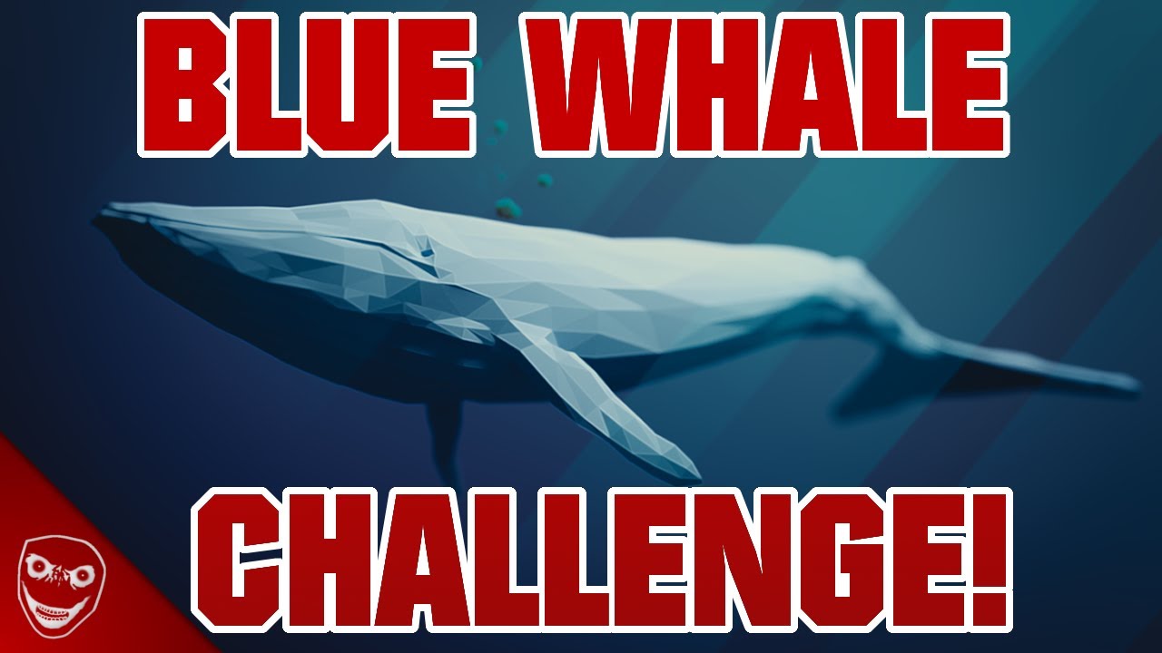 Was wurde aus der BLUE WHALE CHALLENGE? Die ganze Geschichte der Blue ...