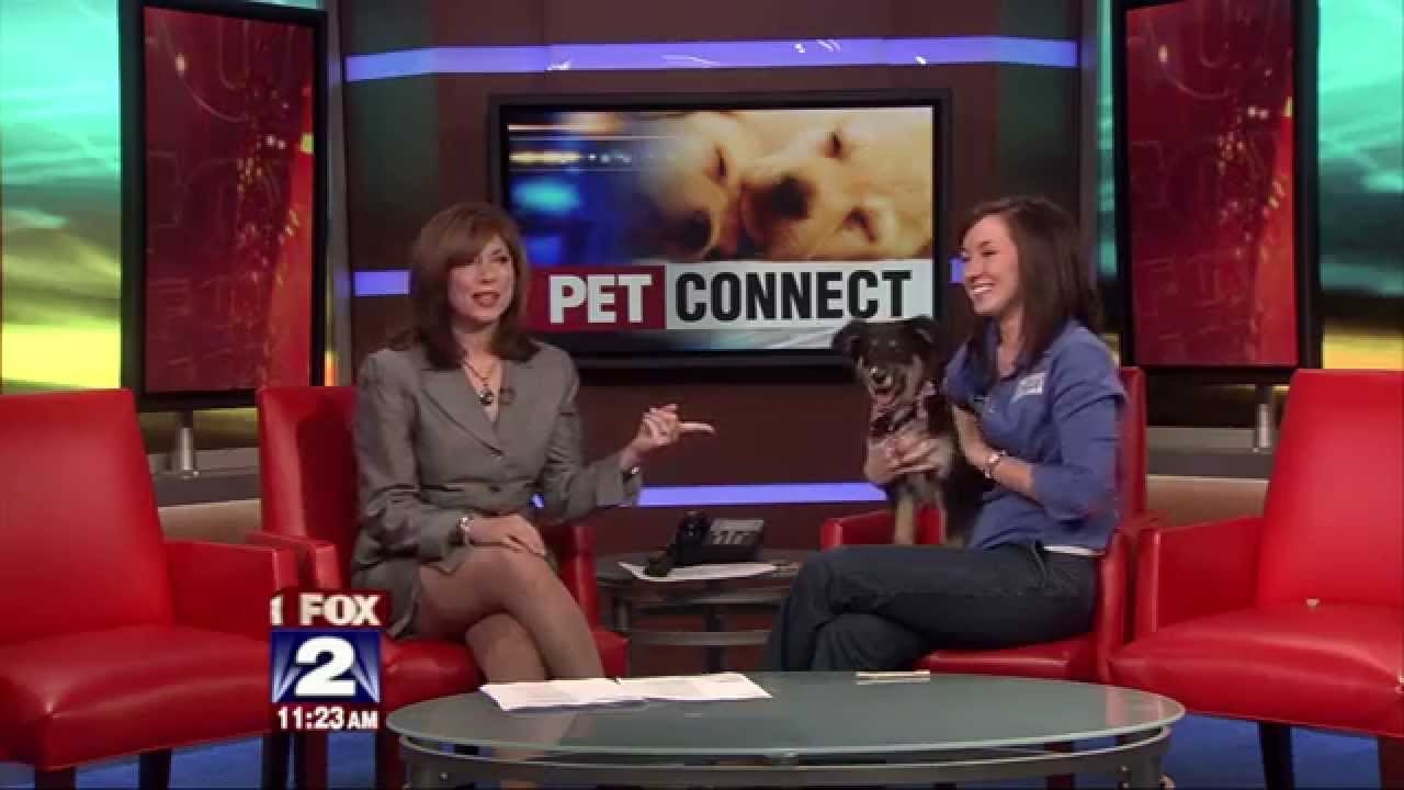 WJBK DT 2 1 2009 08 31 Sherry Margolis Puppy - YouTube