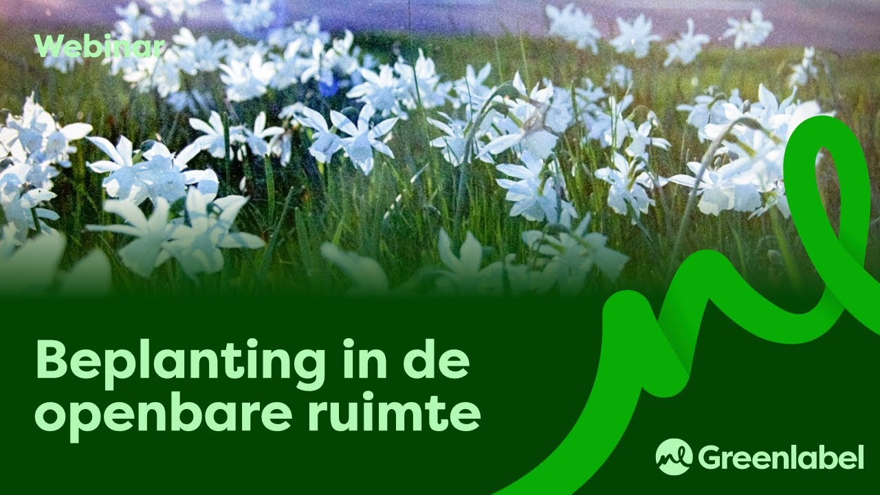 Webinar Beplanting in de Openbare Ruimte - YouTube