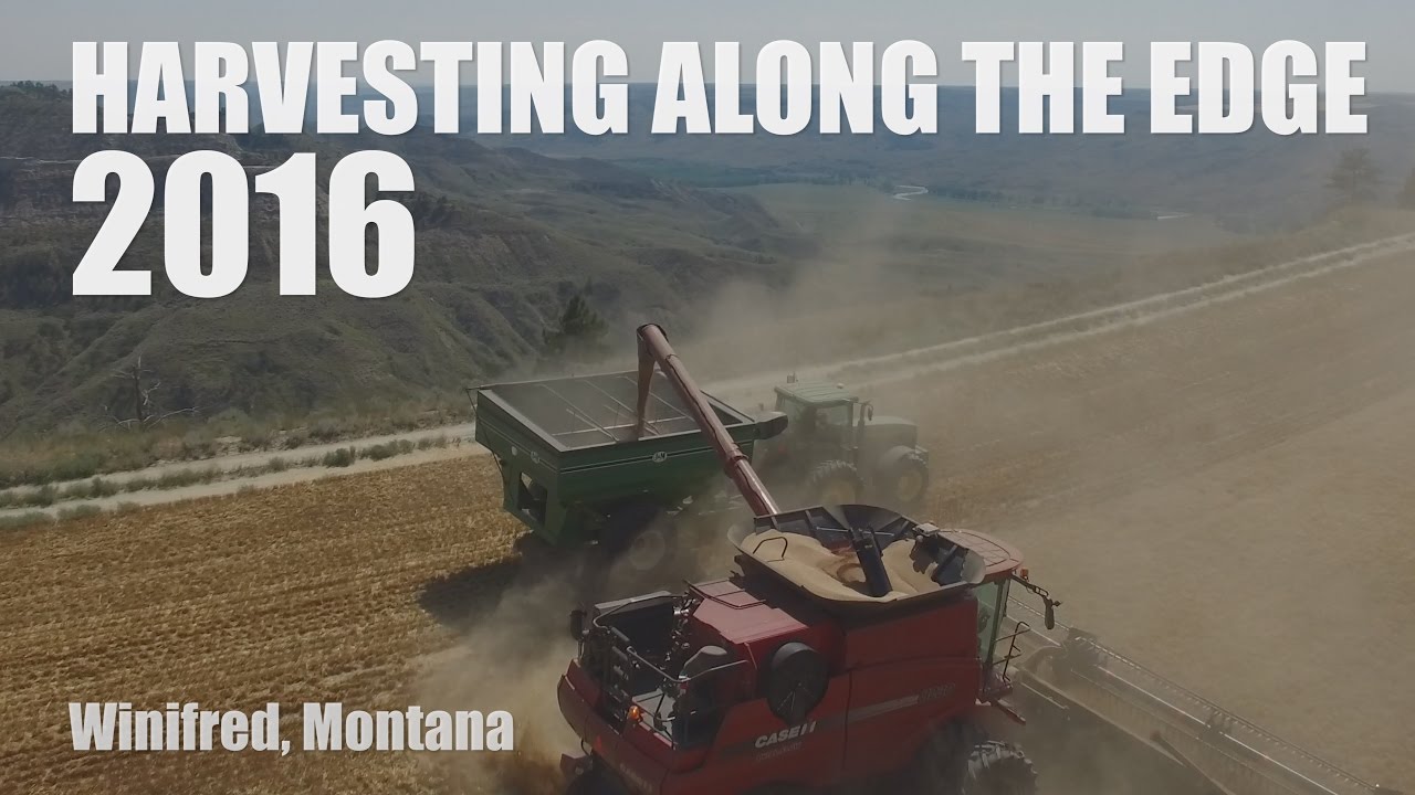 Harvesting Along The Edge 2016 (Winifred, Montana) - YouTube
