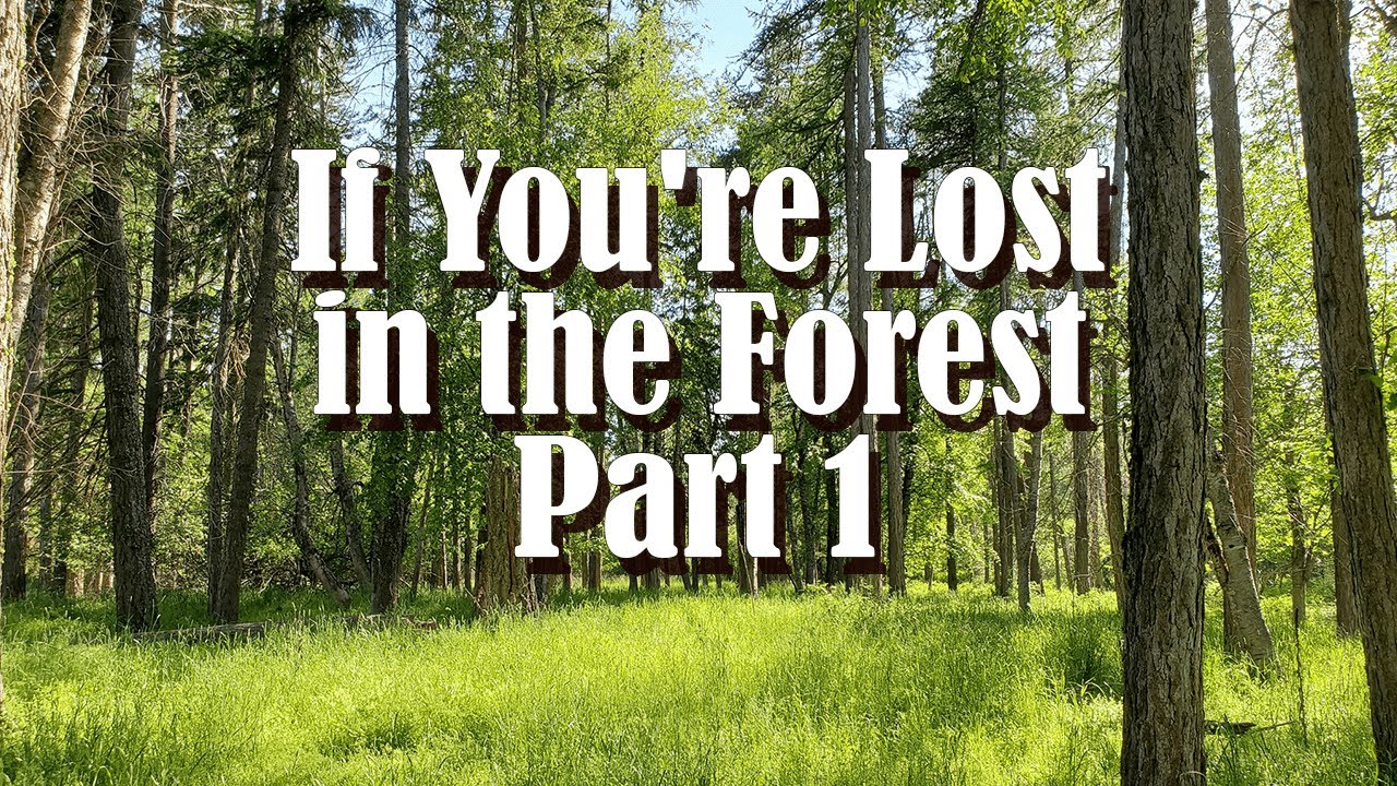 If You're Lost in the Forest: Part 1 - YouTube