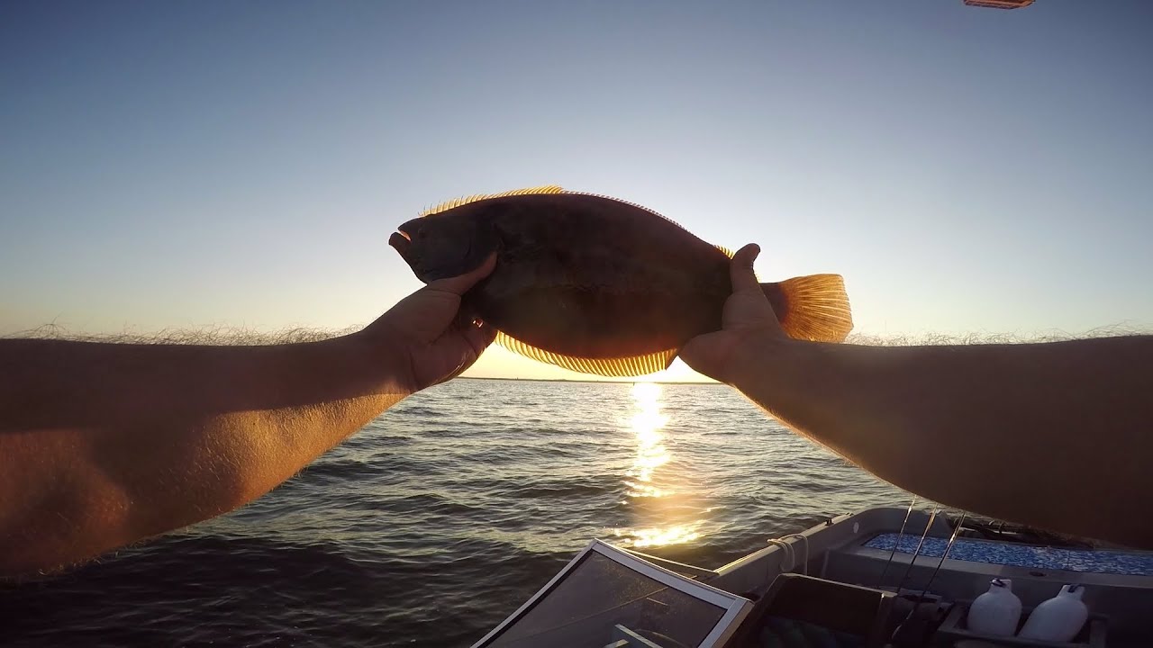 Big Elizabeth River flounder. - YouTube