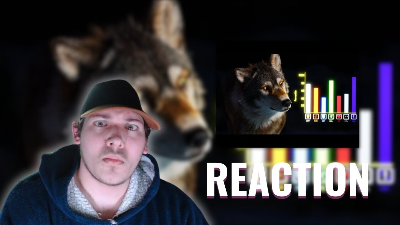 [REACTION] | TierZoo | How Wolves Broke The Game - YouTube