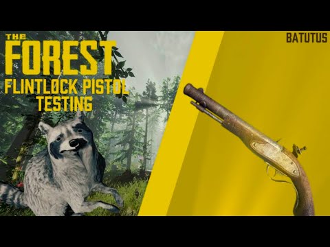 THE FOREST FLINTLOCK PISTOL TESTING - YouTube