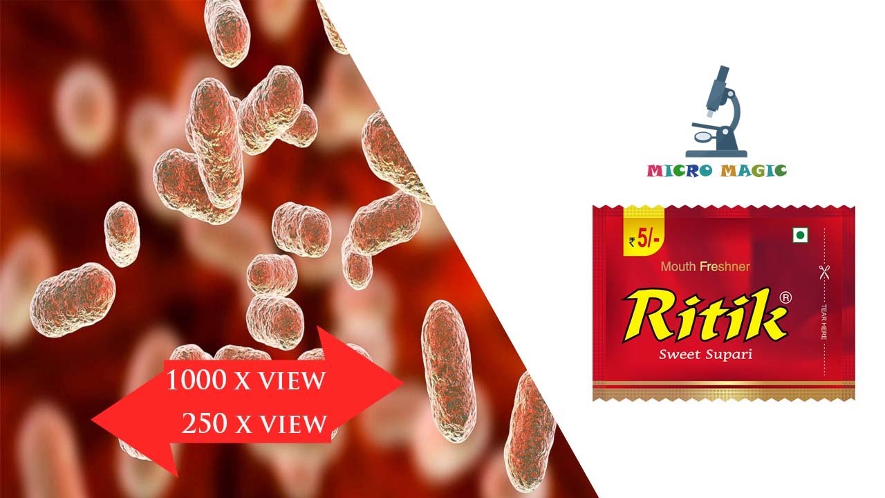 EPISODE 16 . Ritik Supari - 1000X Microscopic View - Microscope Channel ...