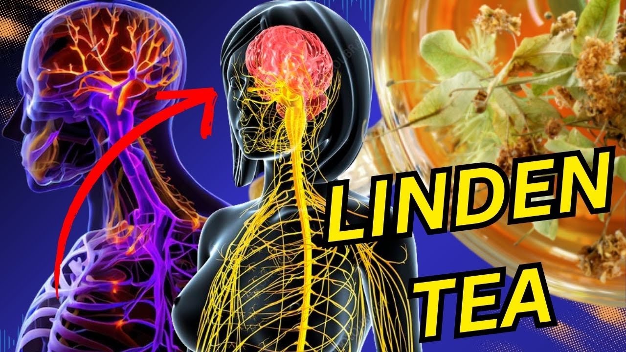 How Linden Tea Can Improve Your Health: Benefits and Uses - YouTube