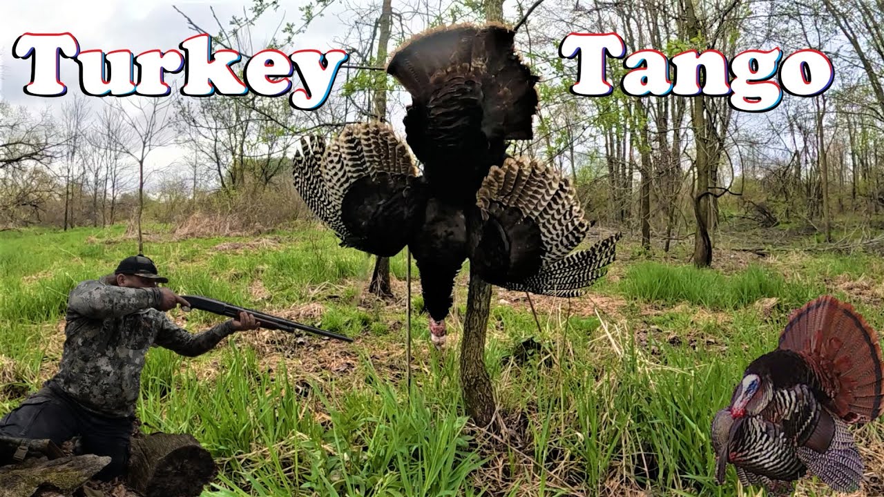 Turkey Tango!! Spring Turkey Season! - YouTube