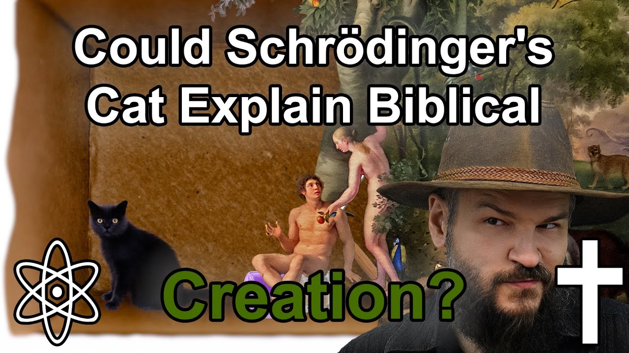 Could Schrödinger's Cat Reconcile Creationism and Darwinism?| ⚛ - YouTube