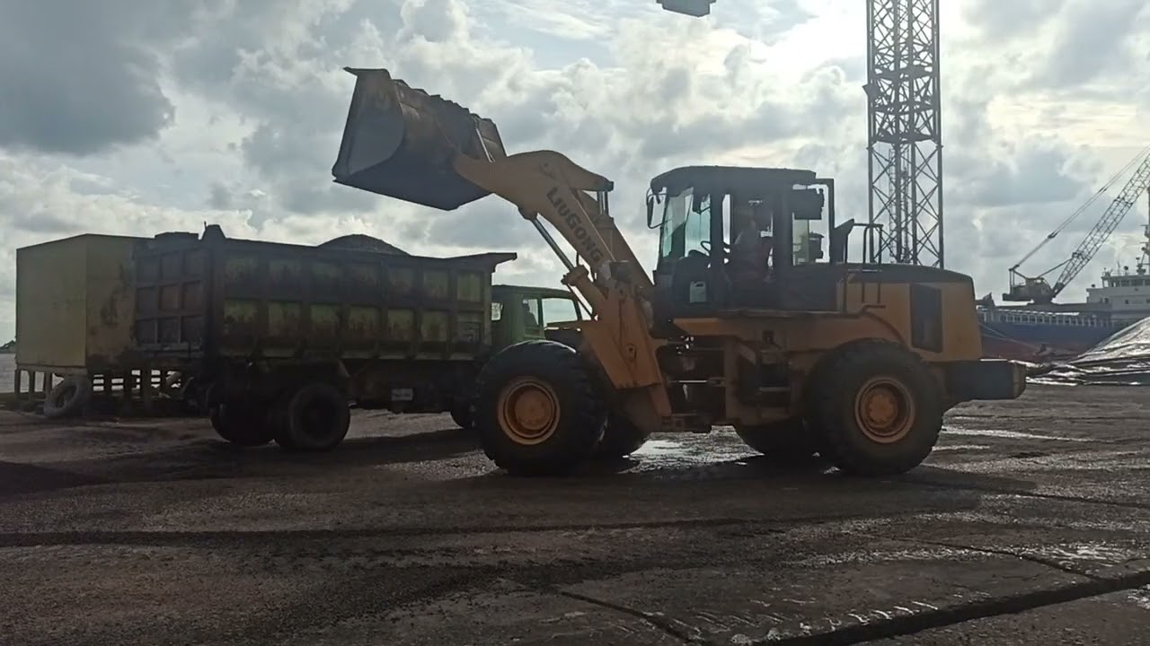liugong loaders load palm kernels onto trucks #76 - YouTube