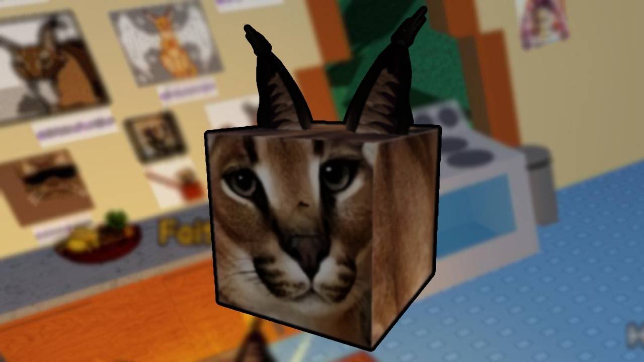 raise a floppa speed up part 1 LOL - YouTube