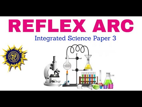Reflex Arc Diagram in Human || Integrated Science Practical#wassce2022# ...