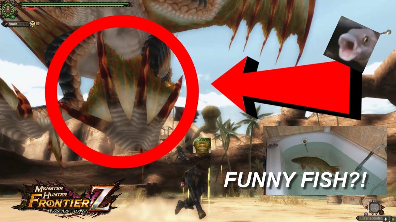 The Best Quest in MHFZ - YouTube