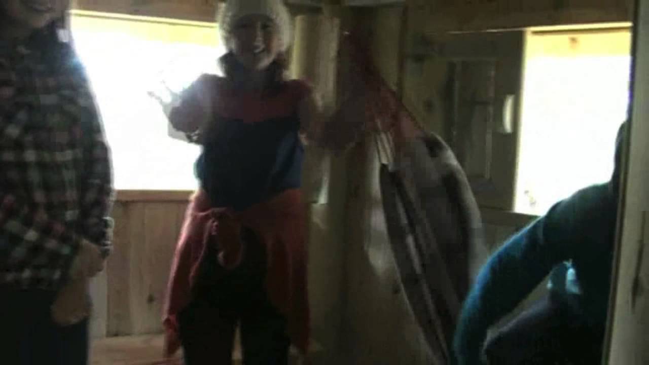 Treehouse Den by Treehouse Life - YouTube