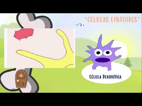 Células Del Sistema Inmune (Animado) - YouTube