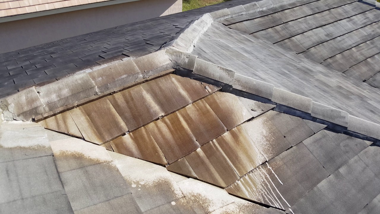 Soft Washing Mold off a Roof - See The Magic Happen - YouTube