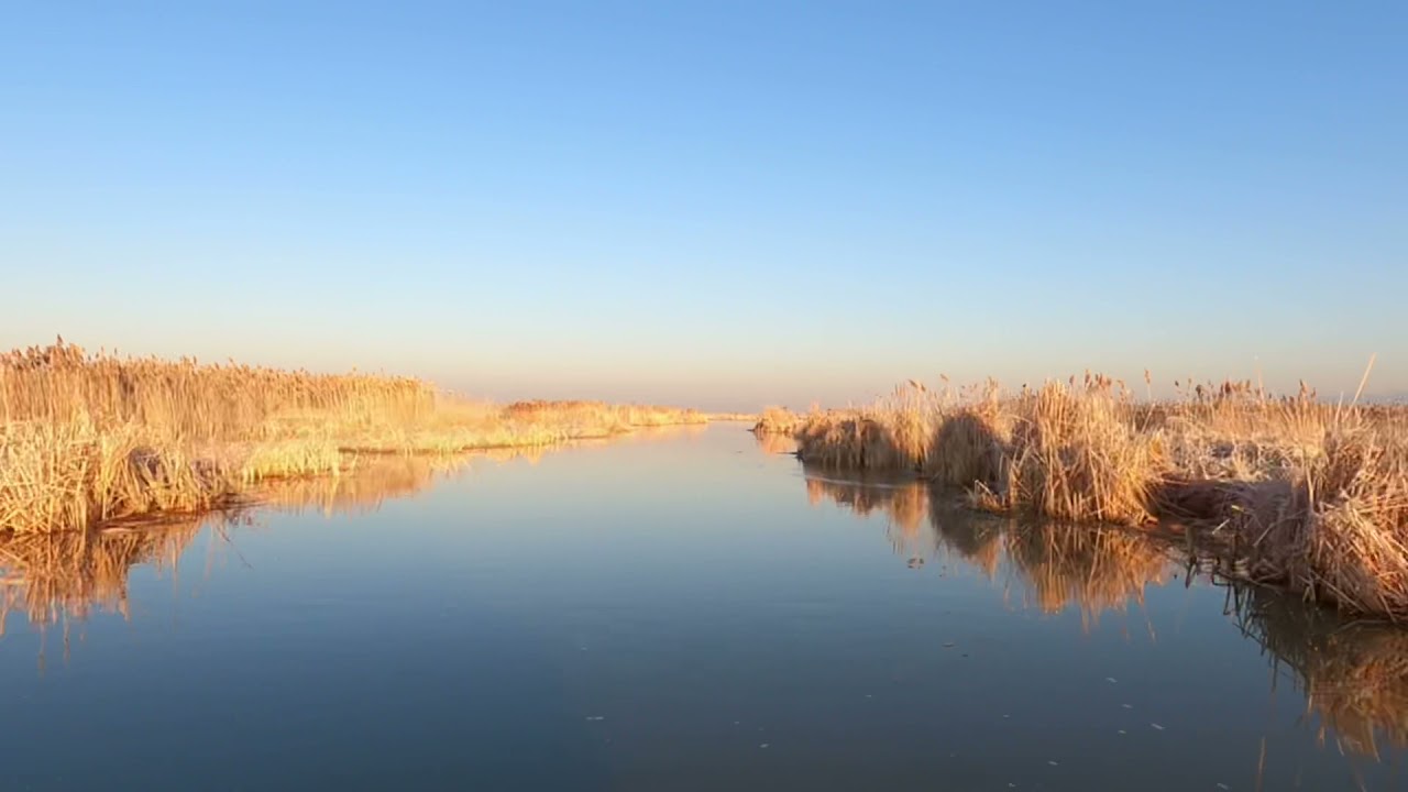 Airboat exploring around the Great Salt Lake - YouTube
