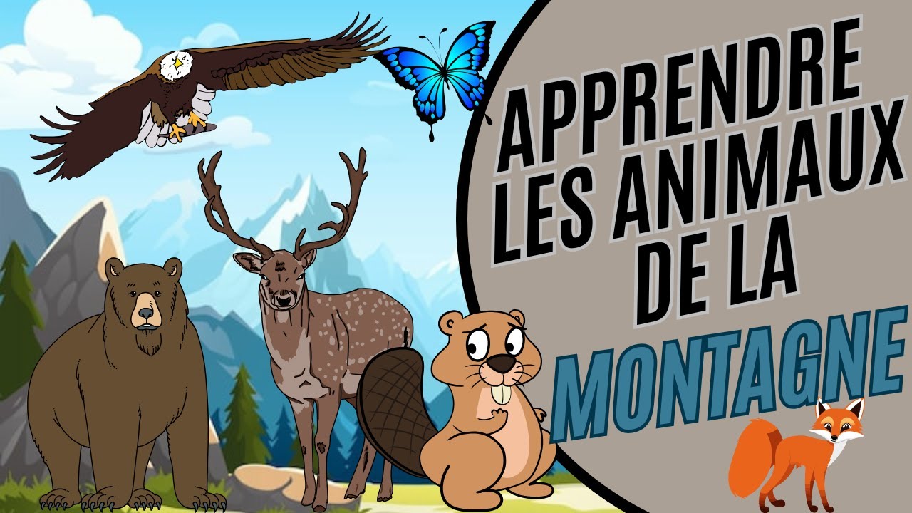 APPRENDRE LES ANIMAUX DE LA MONTAGNE🗻 - YouTube