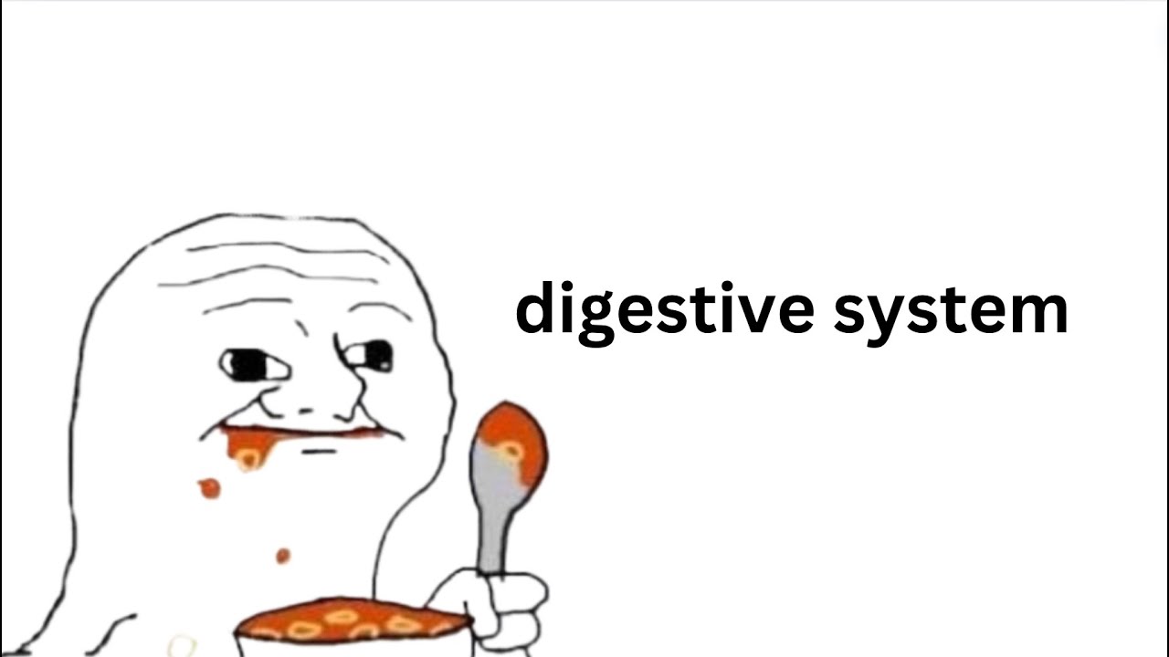 The Digestive System, in 4 minutes - YouTube