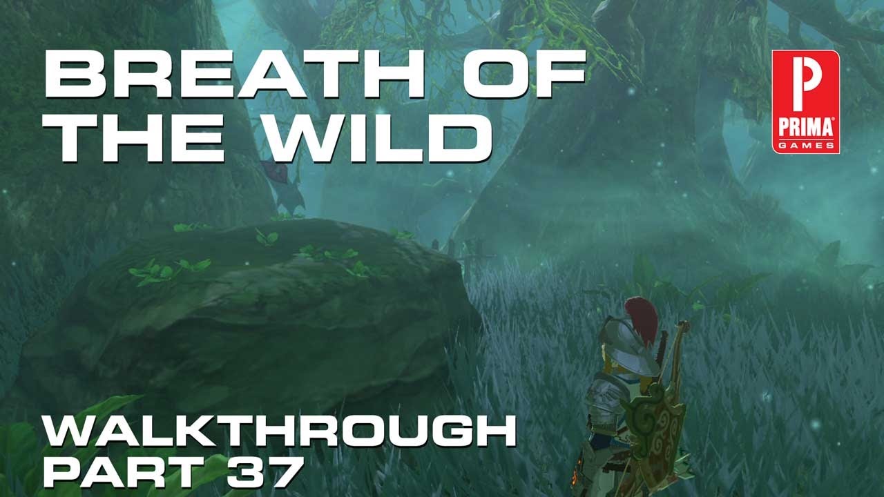 Zelda: Breath of the Wild Walkthrough Part 37 - Korok Trials, Daag ...
