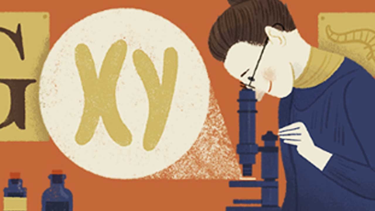 Nettie Stevens (1861 - 1912) Doodle - YouTube