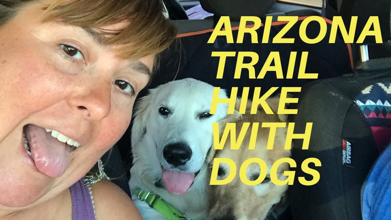 Arizona Trail East Rim Hike with Dogs - YouTube