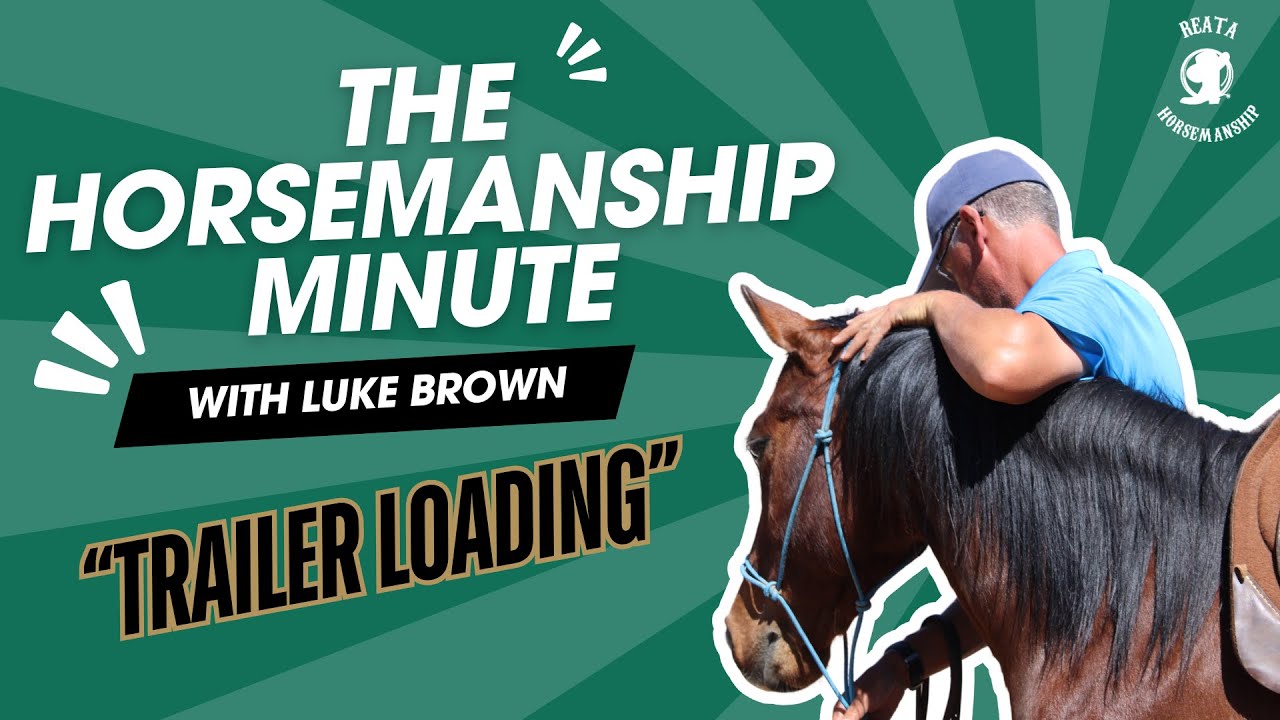 "The Horsemanship Minute - Trailer Loading One Foot at a Time 🐴🚚 - YouTube