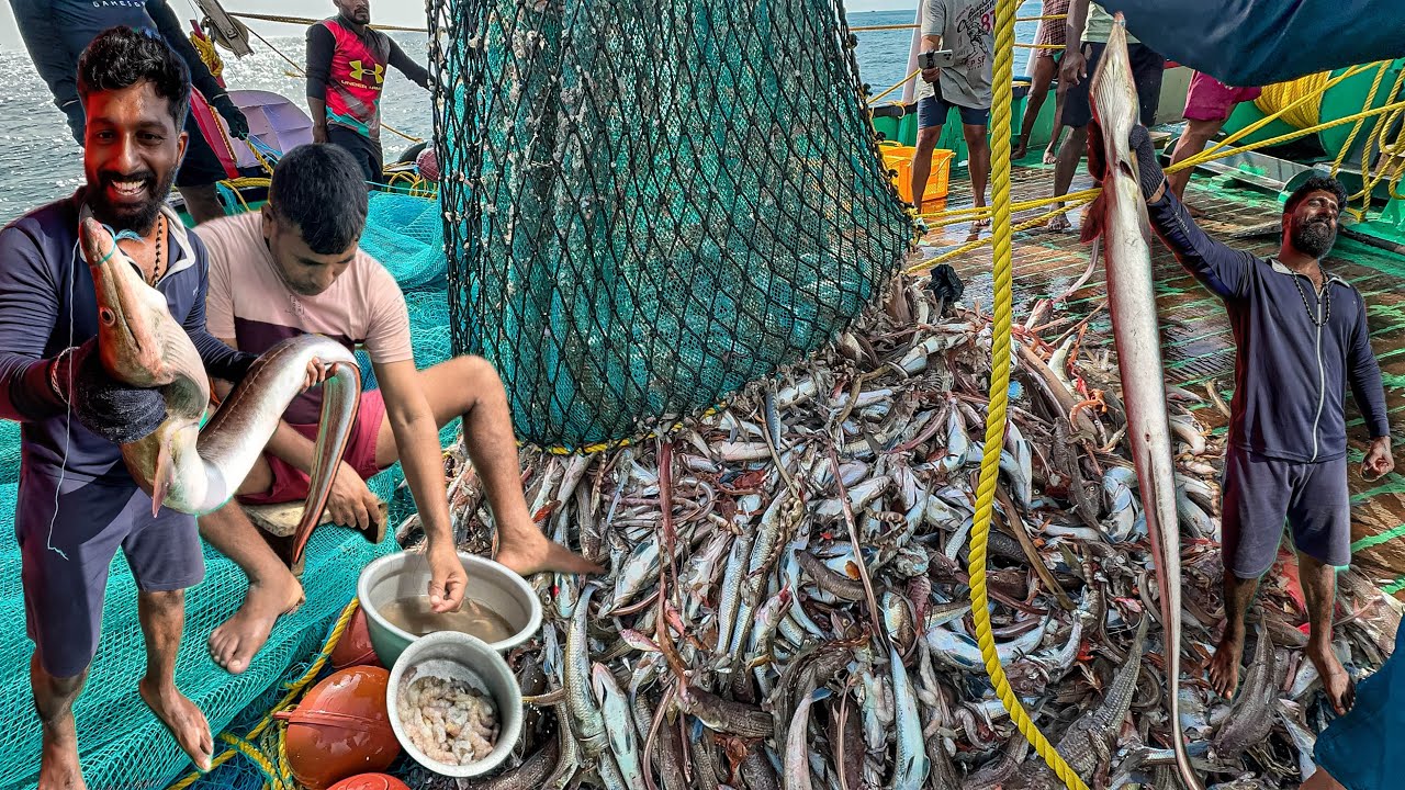 WOW! Tons of Eel and Kilanga Fish Caught in a Single Haul | Day 3 of ...