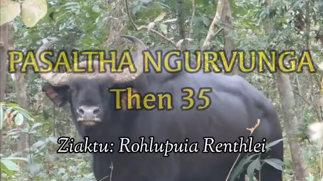 PASALTHA NGURVUNGA Last (Then 35) Rohlupuia Renthlei - YouTube