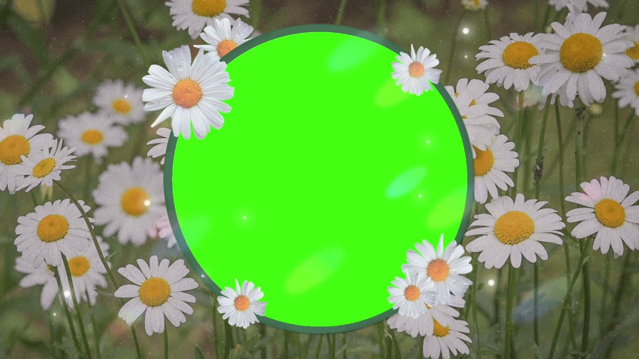 Цветочные рамки. - YouTube