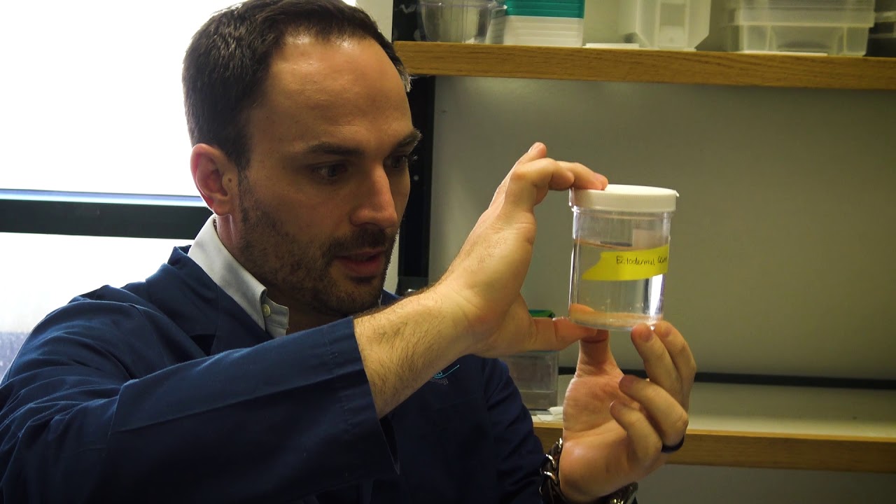 What do Electrical Engineering and Neuroscience Have in Common? - YouTube