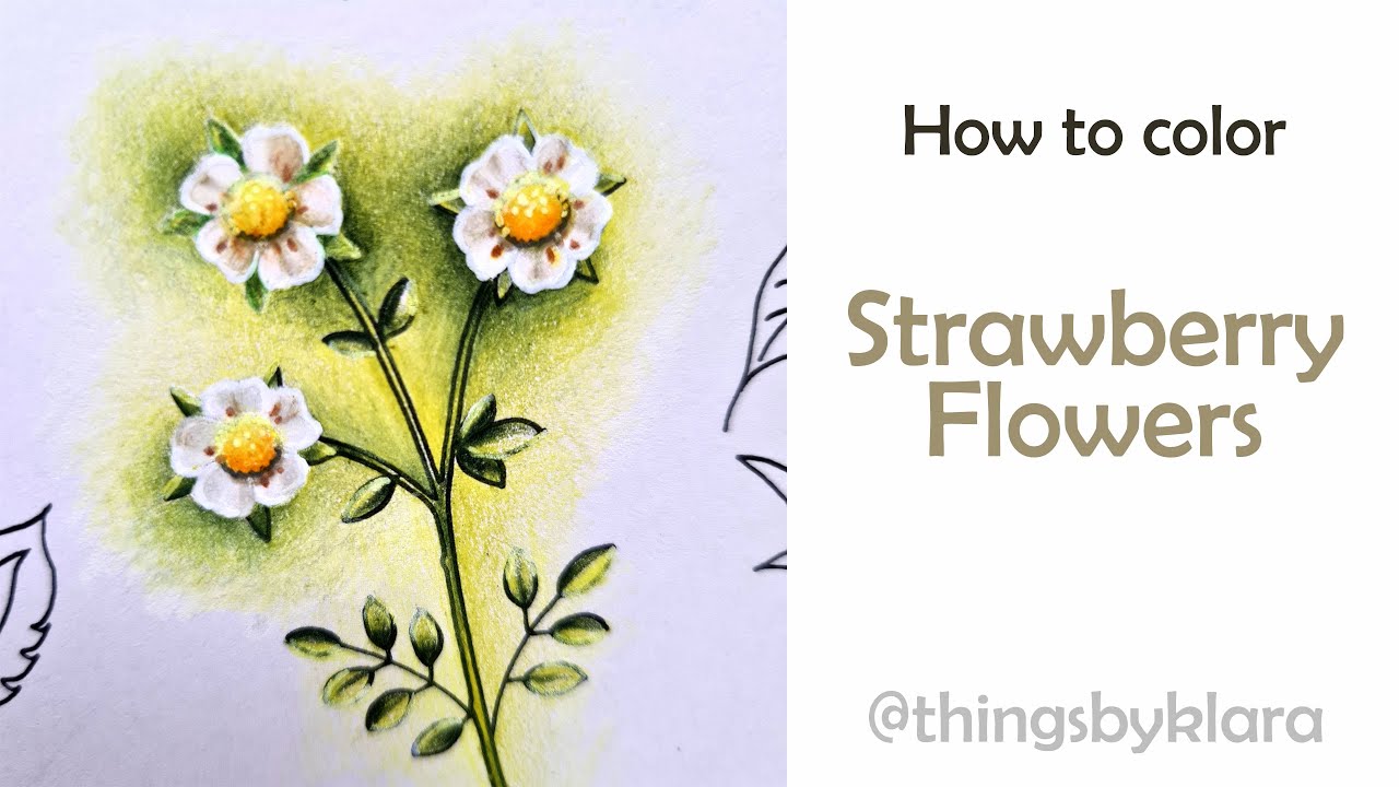 How to color strawberry flowers | Luminance | World of Flowers by ...