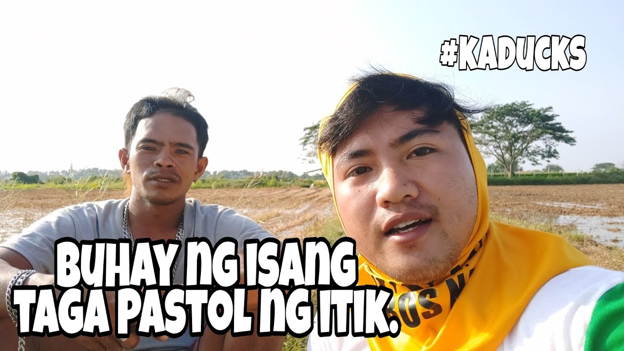 EP66 - ANG BUHAY PAGPAPASTOL NG ITIK SA BUKID ITIKAN FARMING #kaducks ...