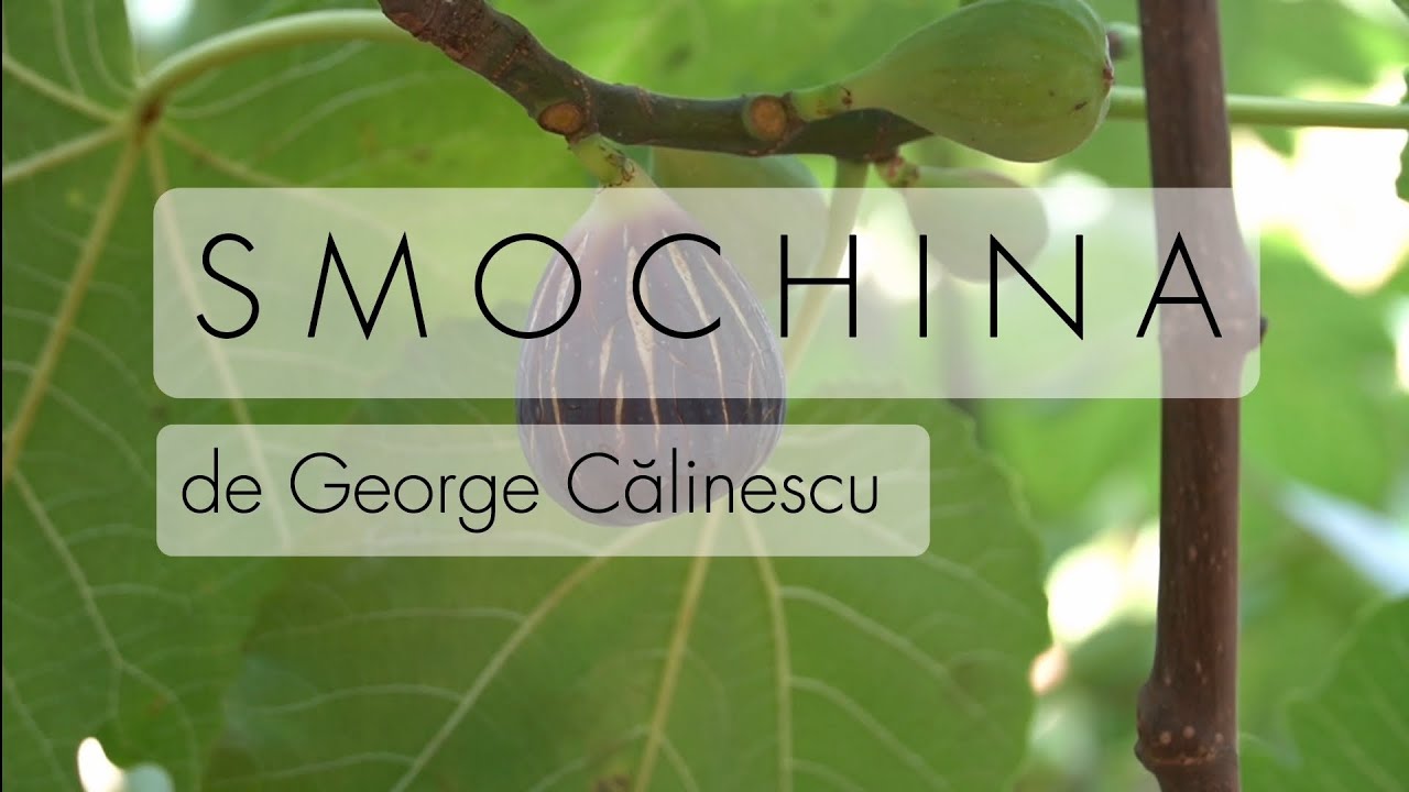 George Călinescu / SMOCHINA - YouTube