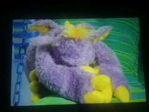 Tikkabilla Tamba Sleeping - YouTube