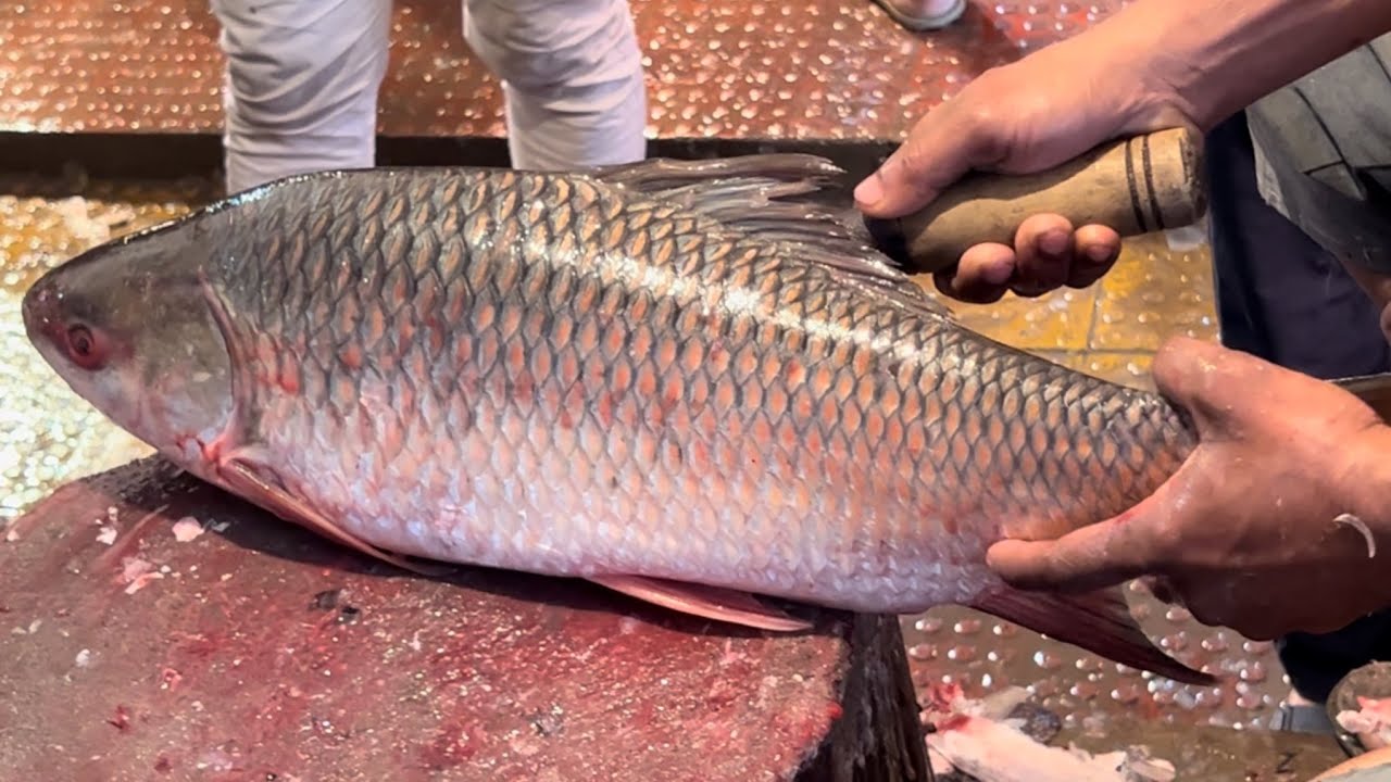 Amazing Big Rohu Fish Cutting Skills | Fish Cutting & Chopping By ...