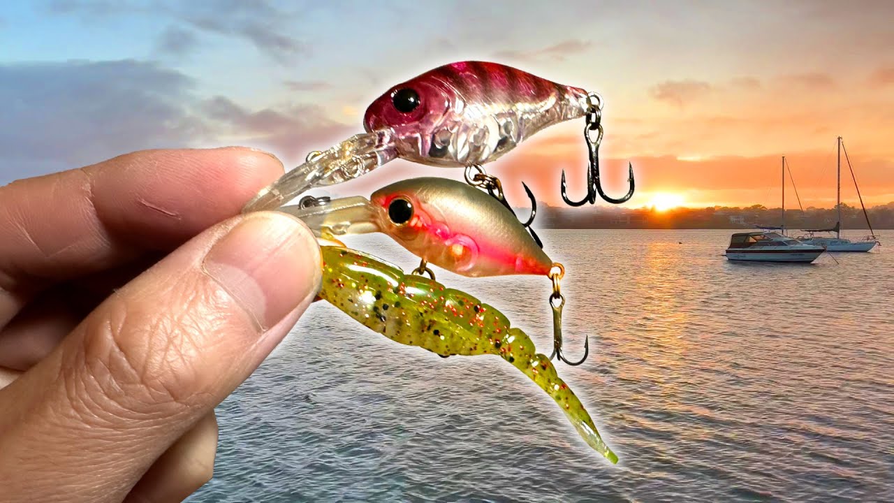 Fishing with lures! (Soft plastics and hardbodies getting the bite ...
