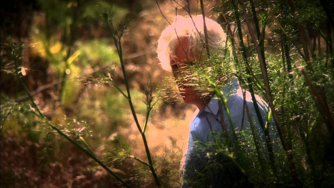 Killer Shrews Official Trailer HD - YouTube