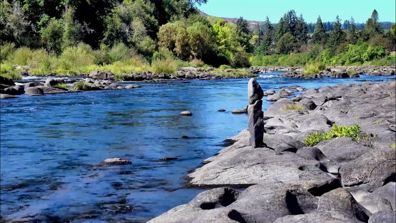 Serene River Waters Flowing Through Nature for Deep Focus and ...