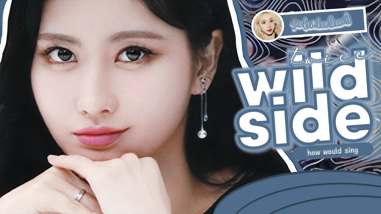 How Would TWICE sing "WILDSIDE" by Red Velvet? [Line Distribution ...