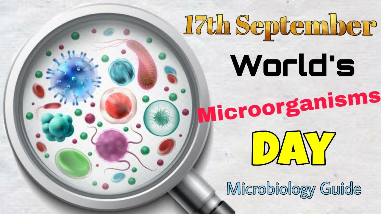 17th September World's Microorganisms Day | Microbiology Guide - YouTube