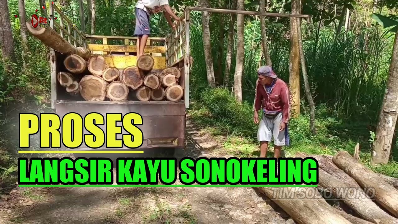 LANGSIR KAYU SONOKELING - YouTube
