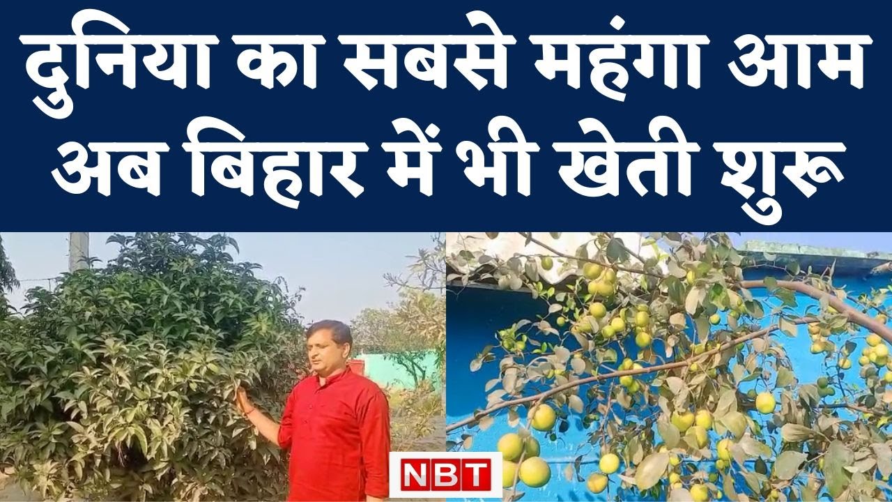Motivational story: Successful farmer of Bihar, earning lakhs by ...