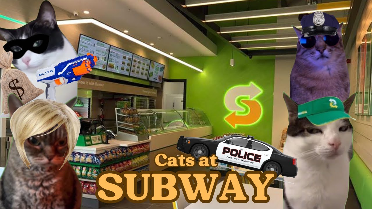 Cats at subway | cat memes | cat stories - YouTube
