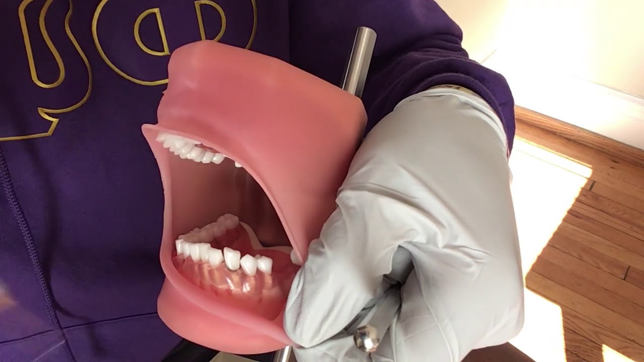 Cowhorn explorer - YouTube