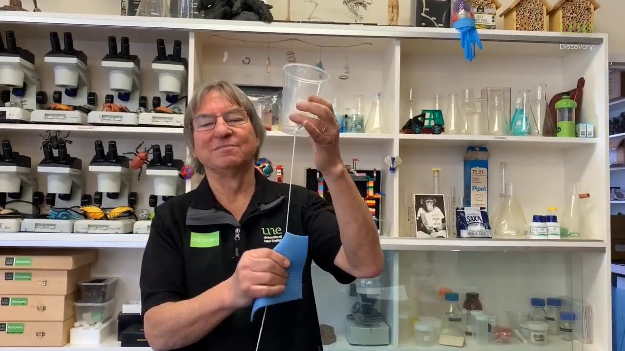 🐣Create your own clucking chicken cup! - YouTube