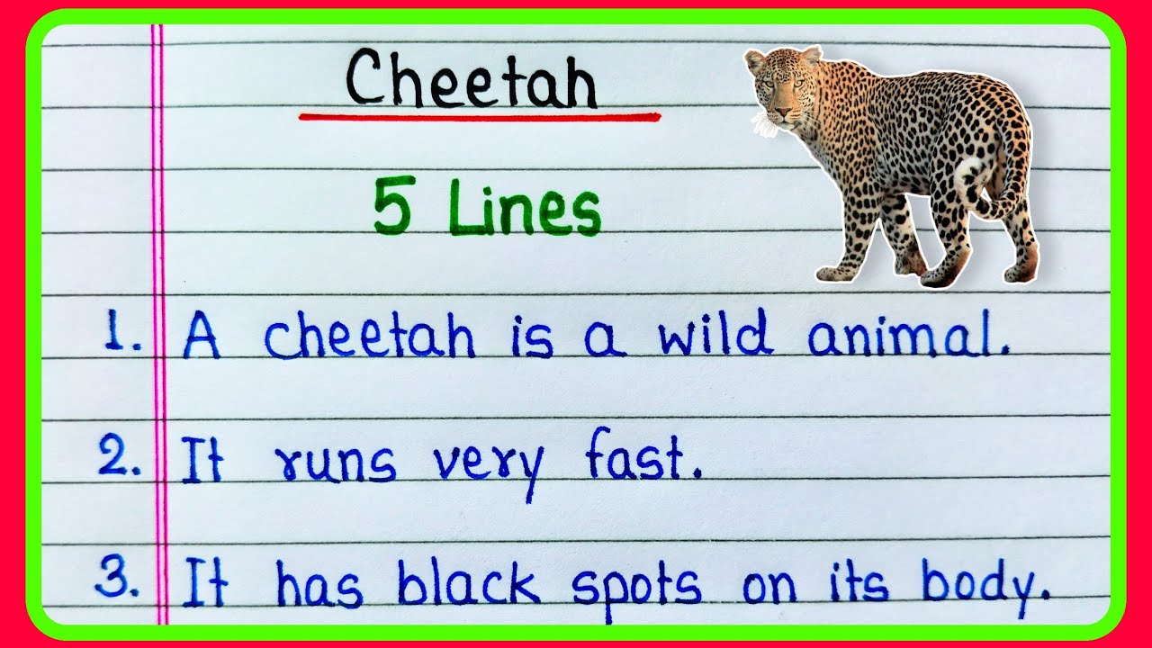 5 lines on Cheetah in English | Few lines about Cheetah | Essay on ...