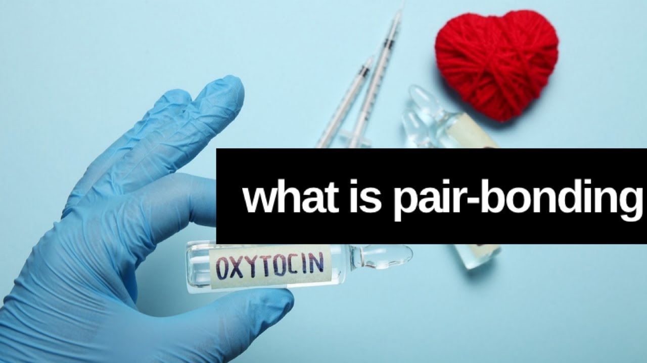 Uncovering the Truth Behind Pair Bonding - What You Need to Know! - YouTube