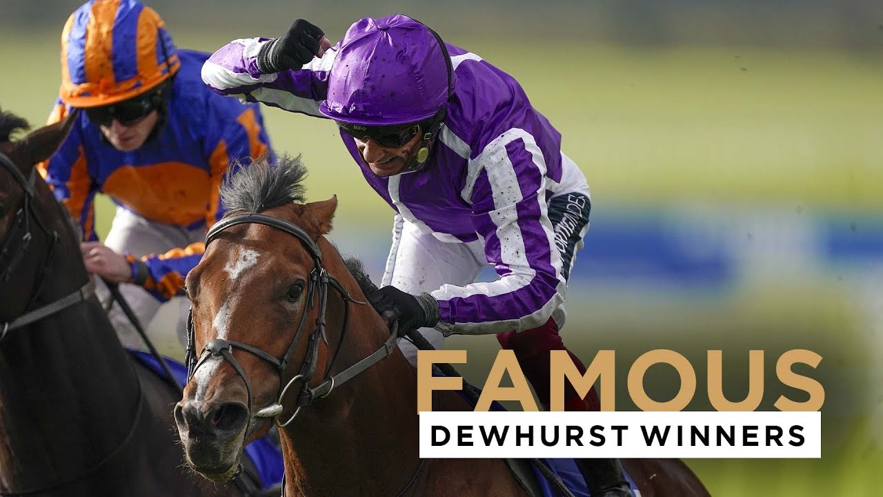 FIVE FAMOUS DEWHURST STAKES WINNERS AT NEWMARKET RACECOURSE - YouTube