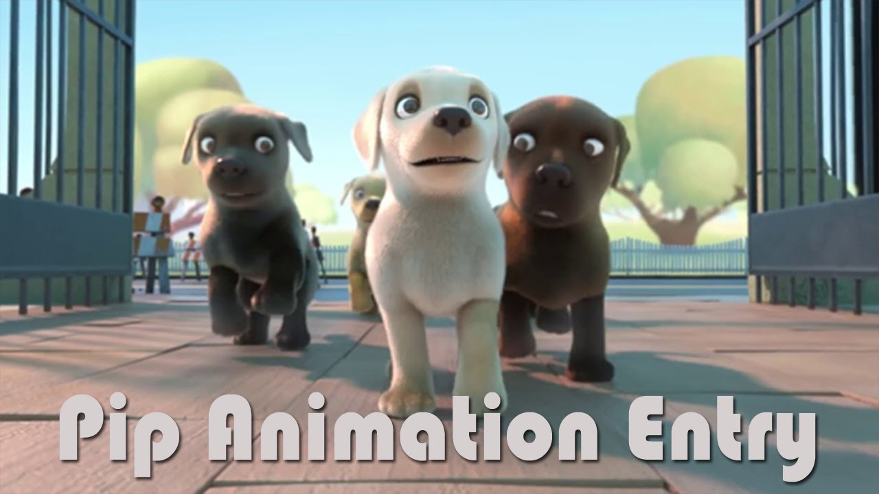 Pip Animation Entry Dog Video !! - YouTube