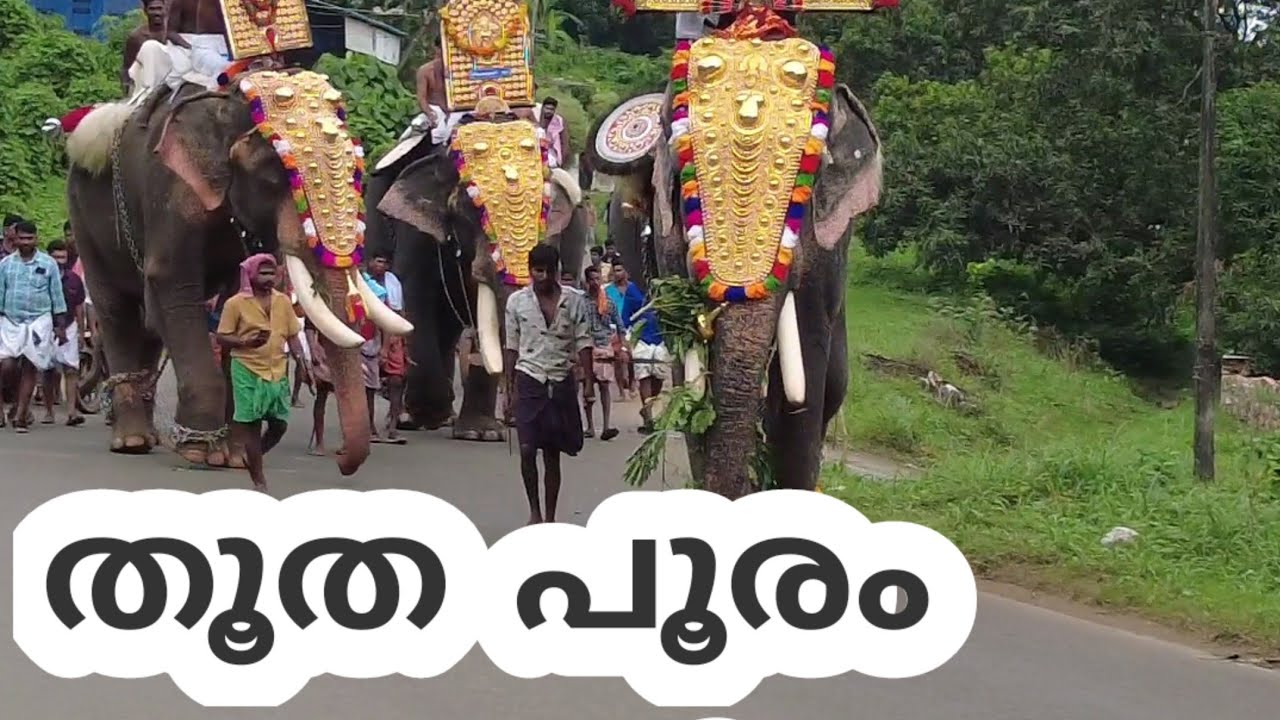 Cherpulassery തൂത പൂരം 2022,Thootha pooram 2022-2023#kerala #palakkad # ...